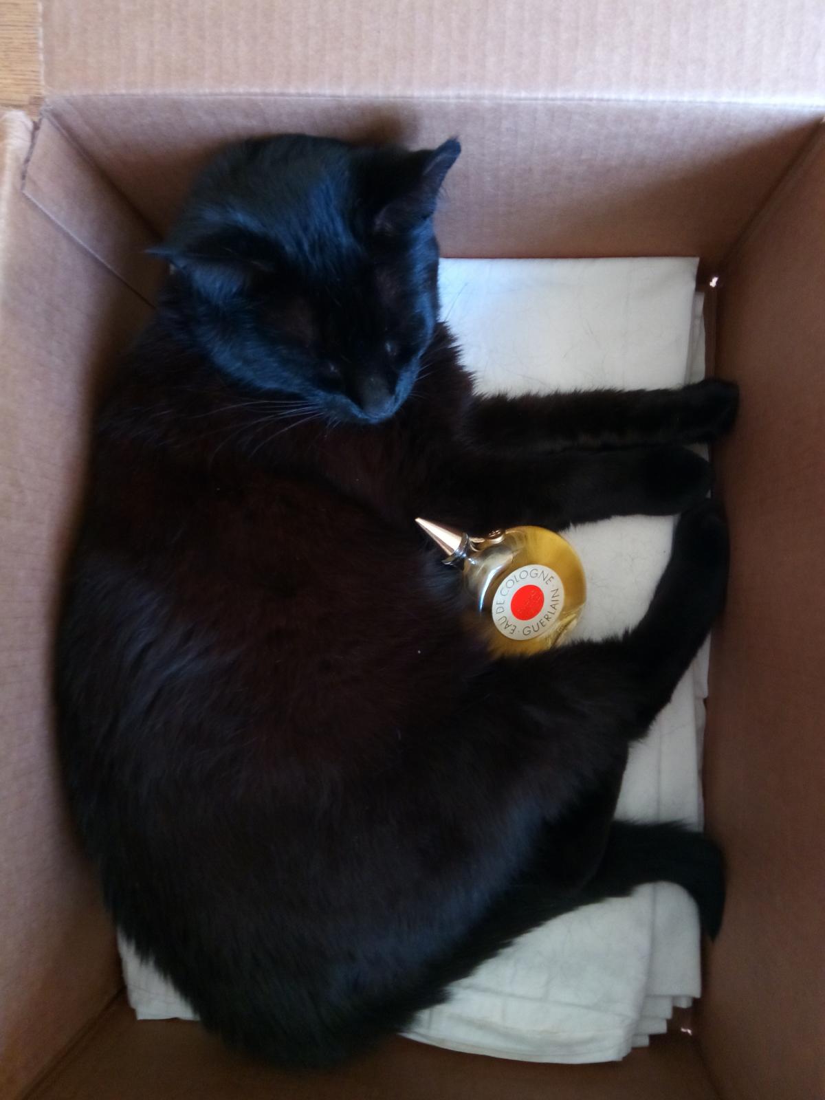 Shalimar Eau De Cologne Guerlain perfume - a fragrance for women 1925