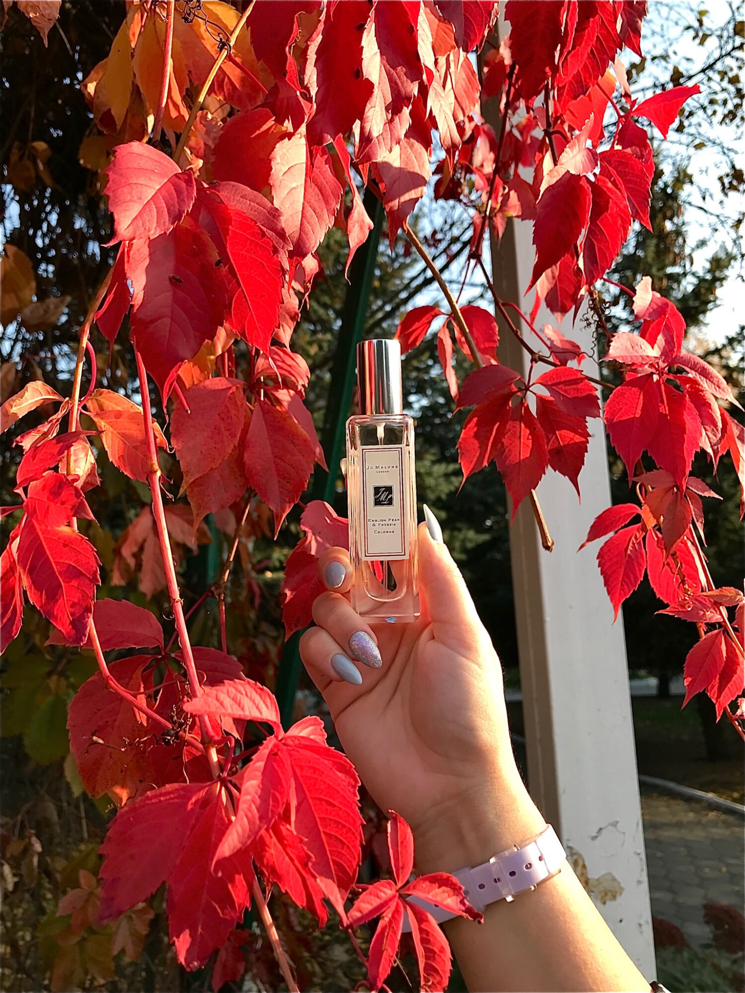 English Pear & Freesia Jo Malone London perfume - a fragrance for women ...