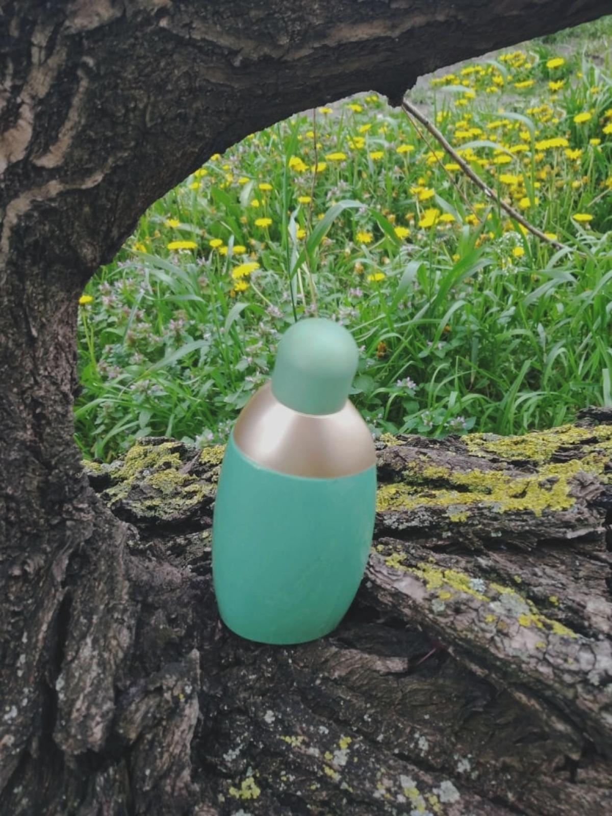 Eden Cacharel perfume - a fragrance for women 1994