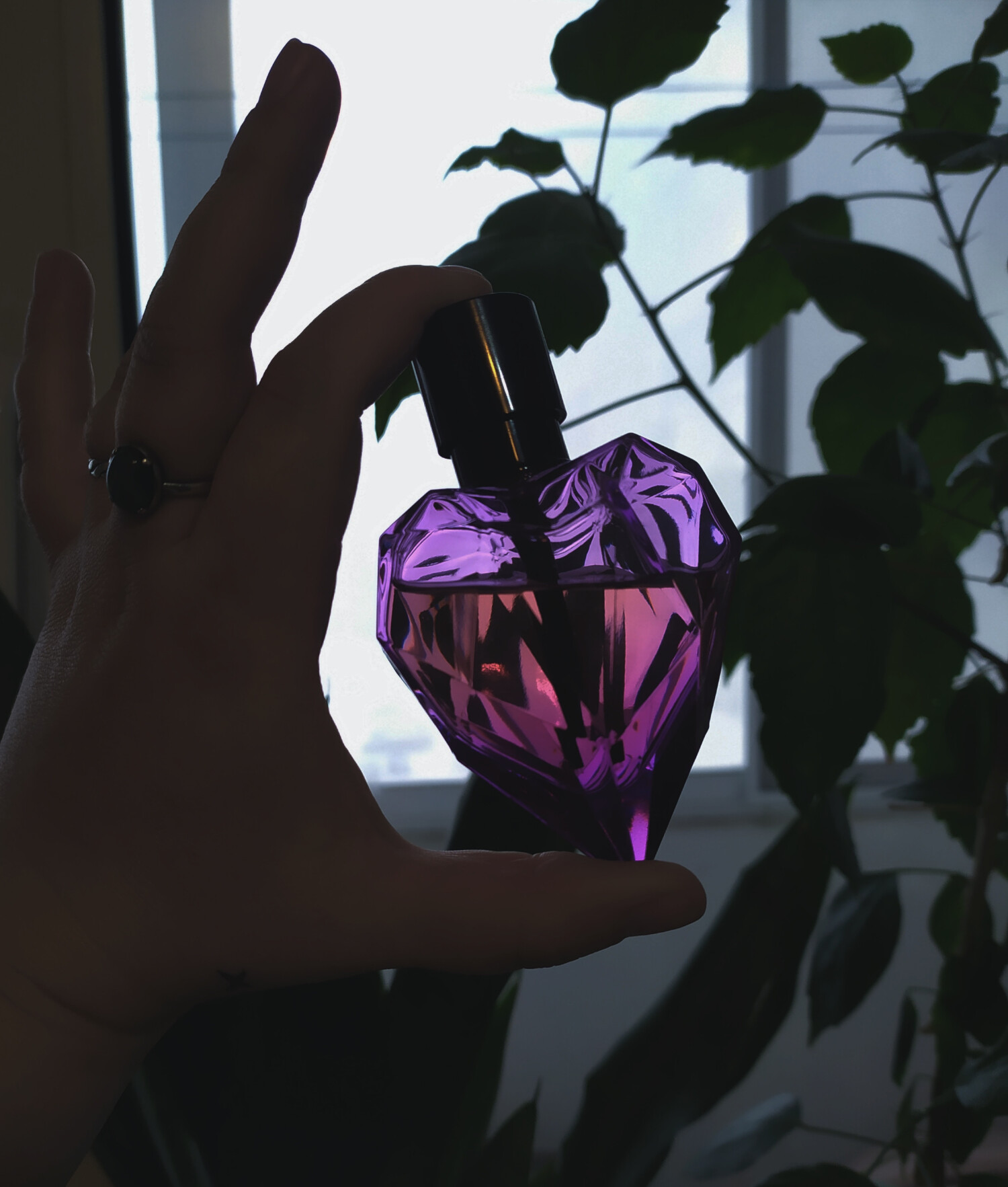 Loverdose Diesel perfume - a fragrance for women 2011