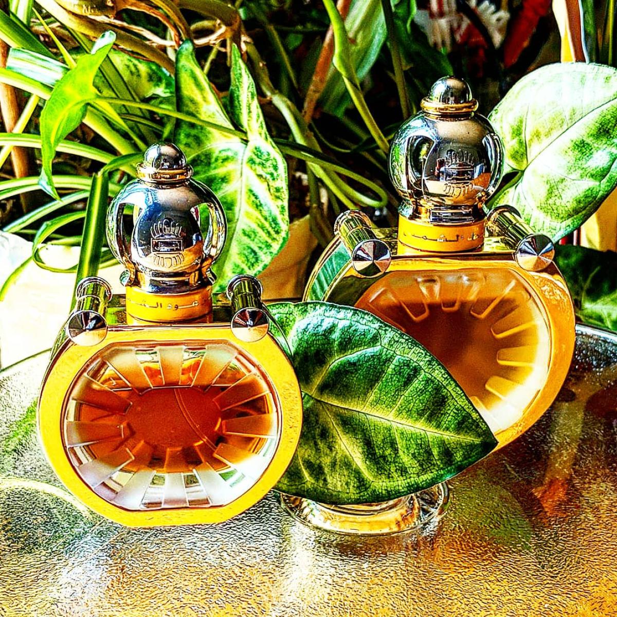 Dahn Oudh Al Shams Ajmal perfume - a fragrance for women and men