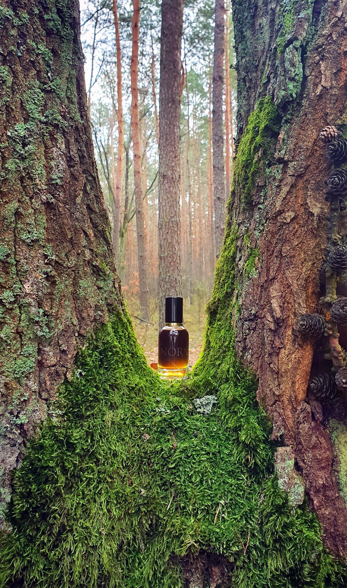 Norne Slumberhouse perfume - a fragrance for women and men 2012