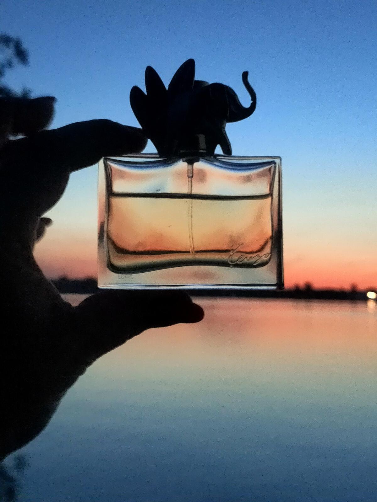 Kenzo Jungle L'Elephant Kenzo parfum - een geur voor dames 1996