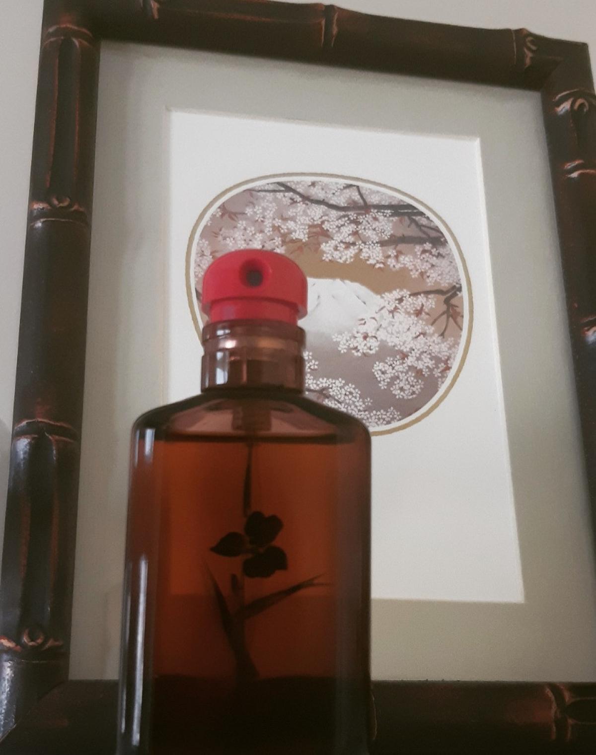 Leonara Leonard perfume - a fragrance for women 2001