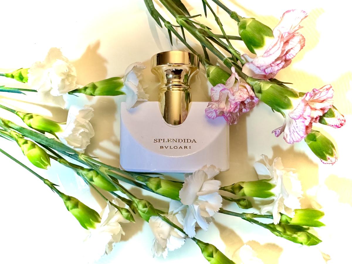 Splendida Patchouli Tentation Bvlgari perfume - a fragrance for women 2020