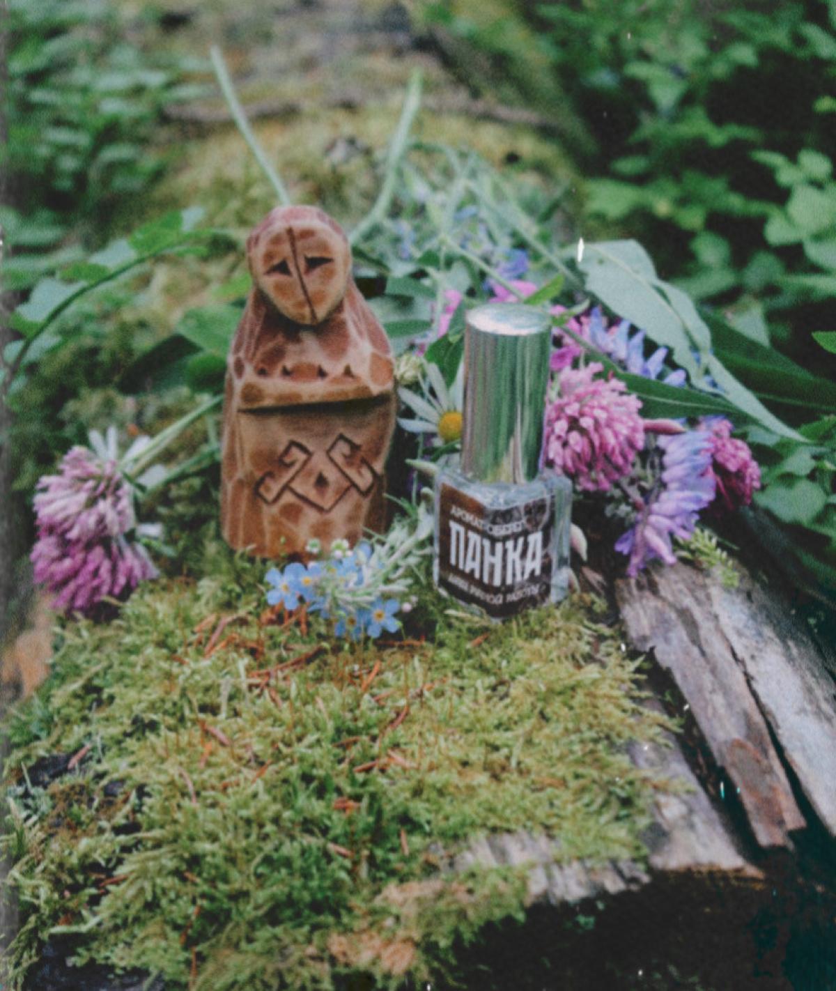 Panka (Панка) Aroma Karelia perfume - a new fragrance for women and men ...