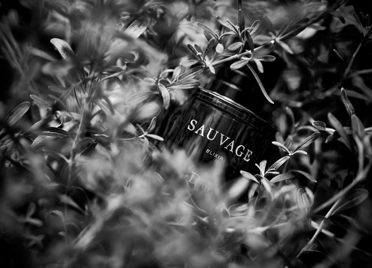 Sauvage Elixir Dior cologne - a fragrance for men 2021