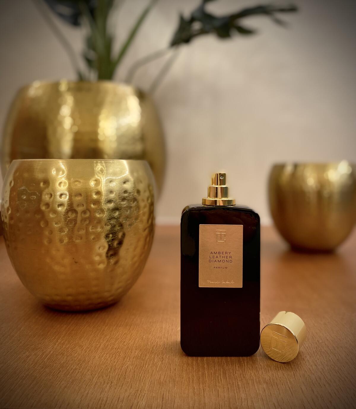 Ambery Leather Diamond Toni Cabal perfume - a fragrance for women and ...