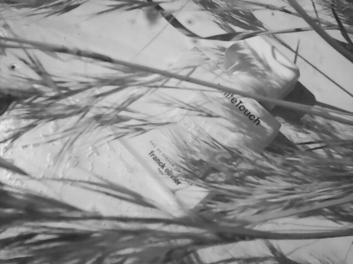 White Touch Franck Olivier perfume - a fragrance for women