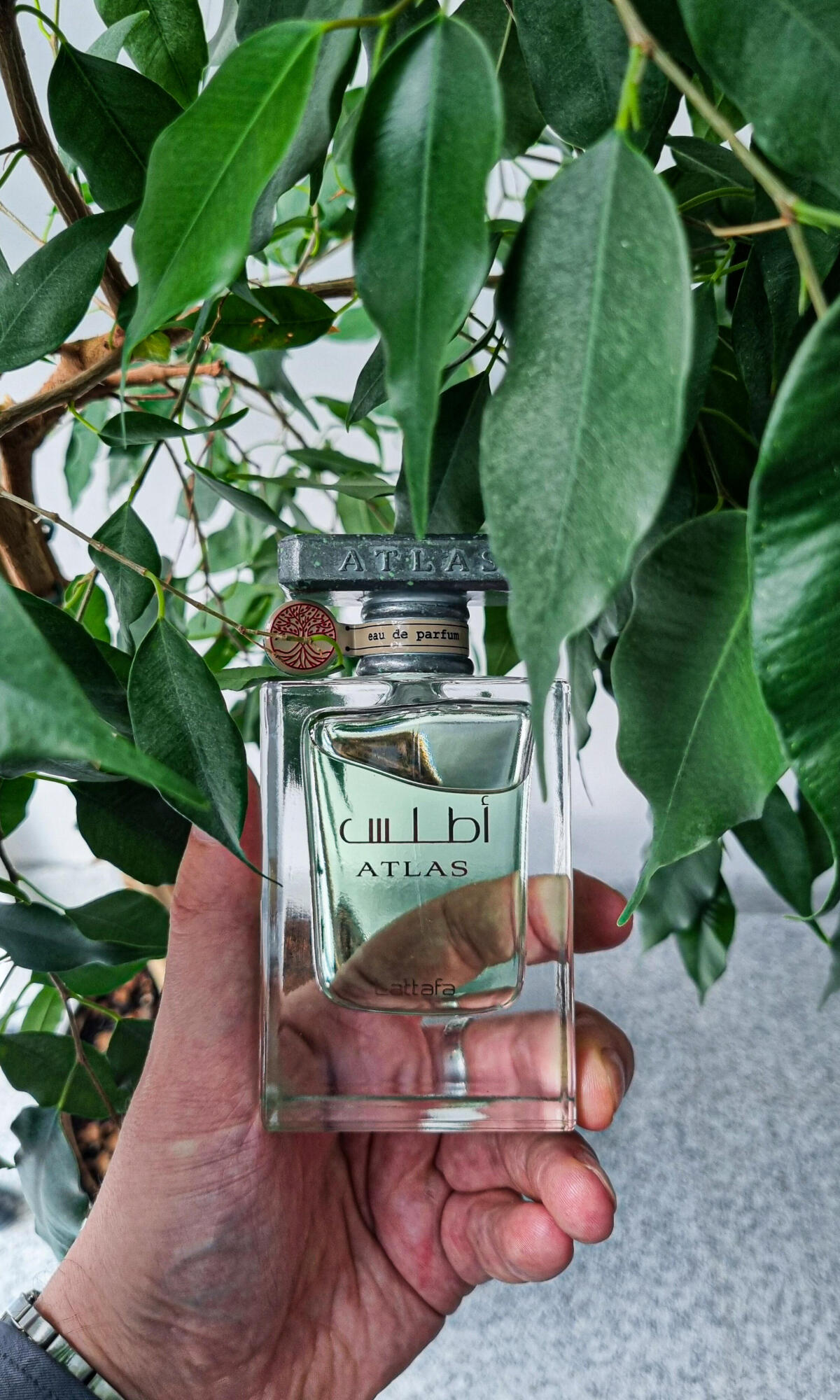 Atlas Lattafa Perfumes perfume - a novo fragrância Compartilhável 2024