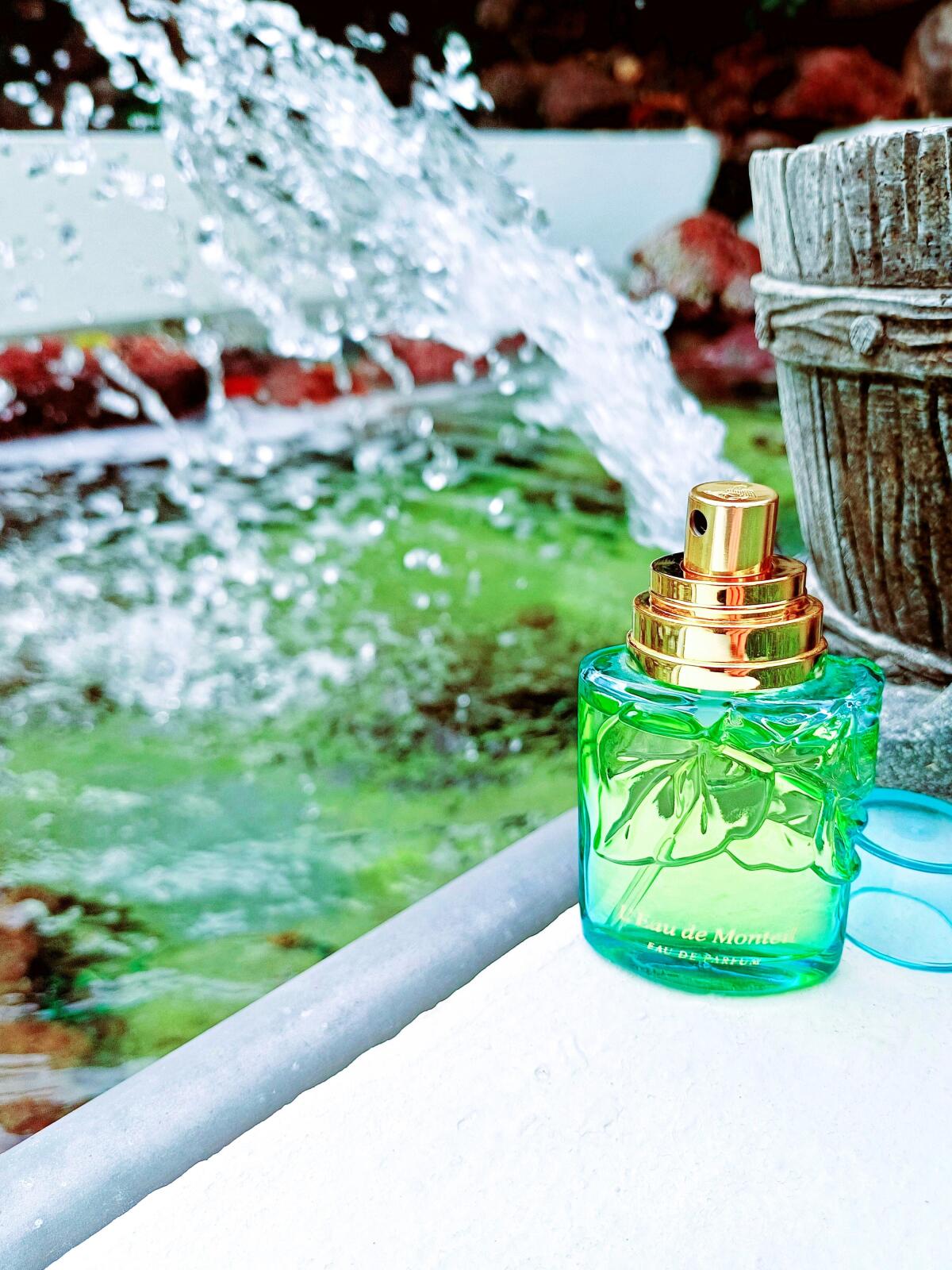 L'Eau De Monteil Germaine Monteil perfume - a fragrance for women 1995