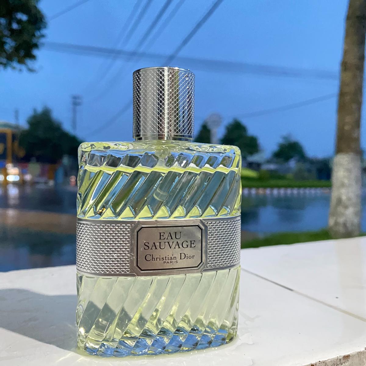 Eau Sauvage Dior cologne - a fragrance for men 1966