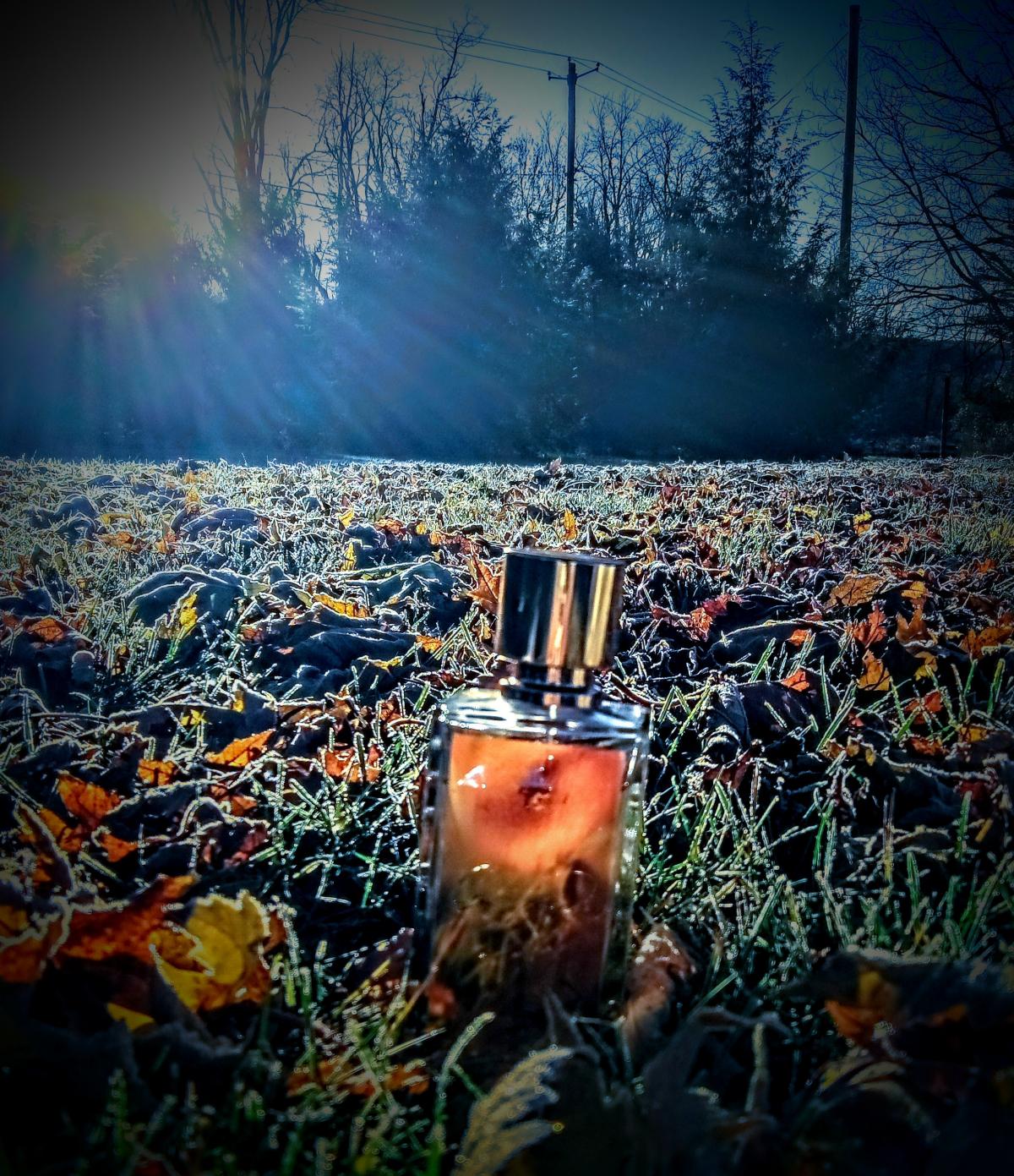 Ganymede Marc-Antoine Barrois perfume - a fragrance for women and men 2019