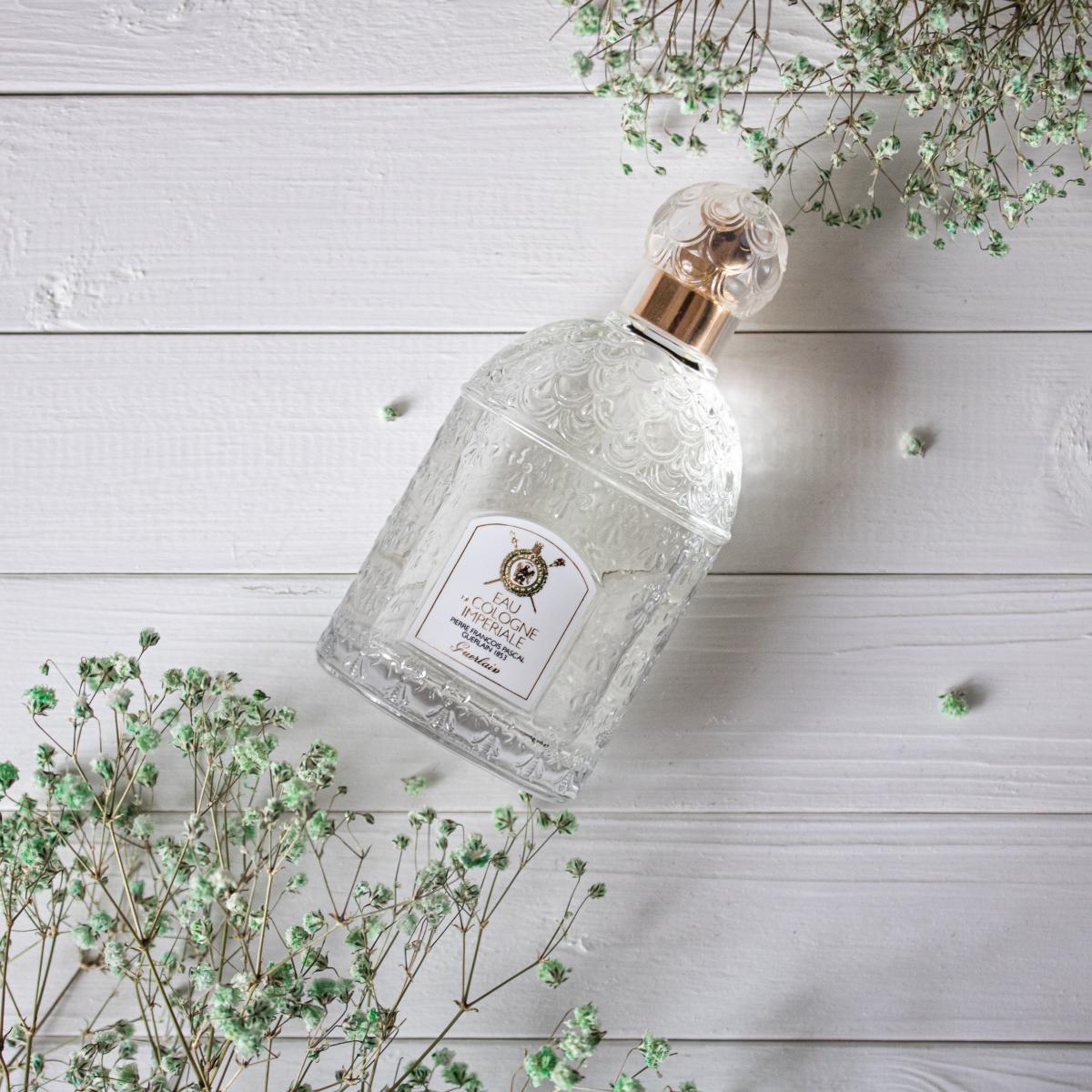 Eau de Cologne Imperiale Guerlain perfume - a fragrance for women 1860