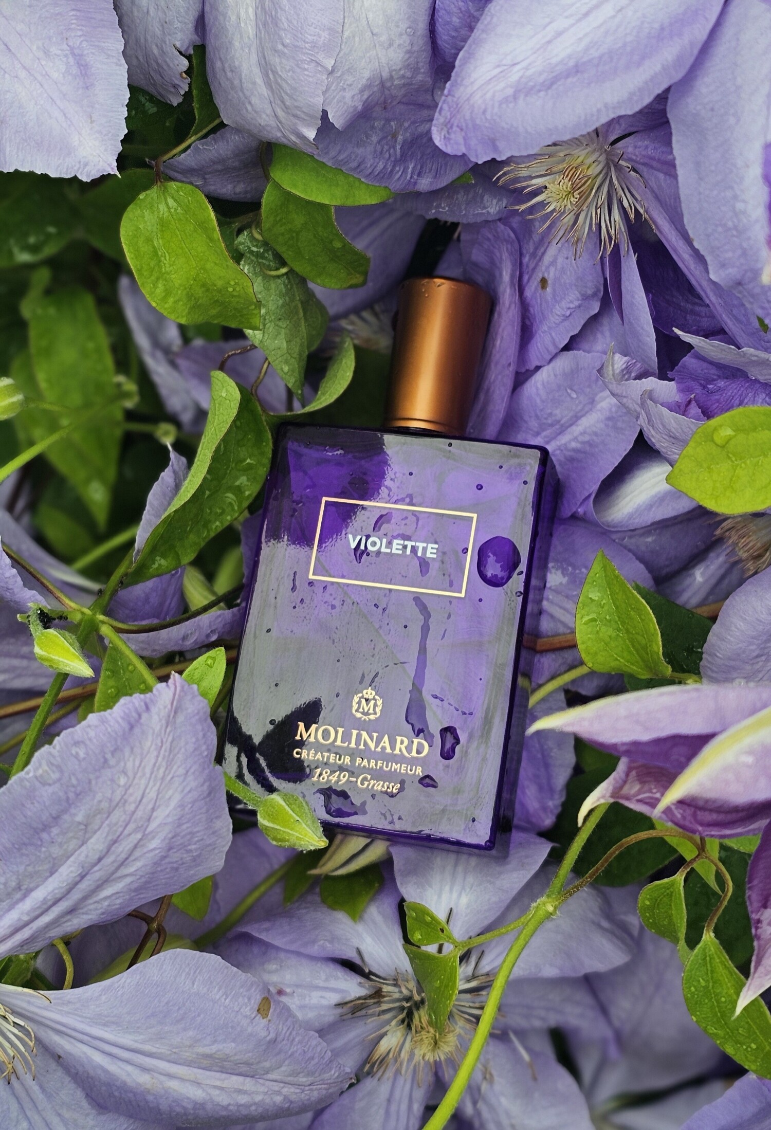 Violette Eau de Parfum Molinard perfume - a fragrance for women and men ...