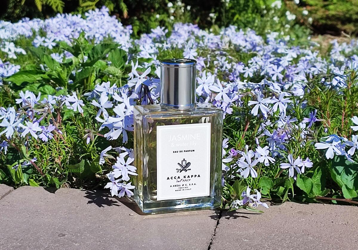 Jasmine & Water Lily Acca Kappa perfume - a fragrance for women and men ...