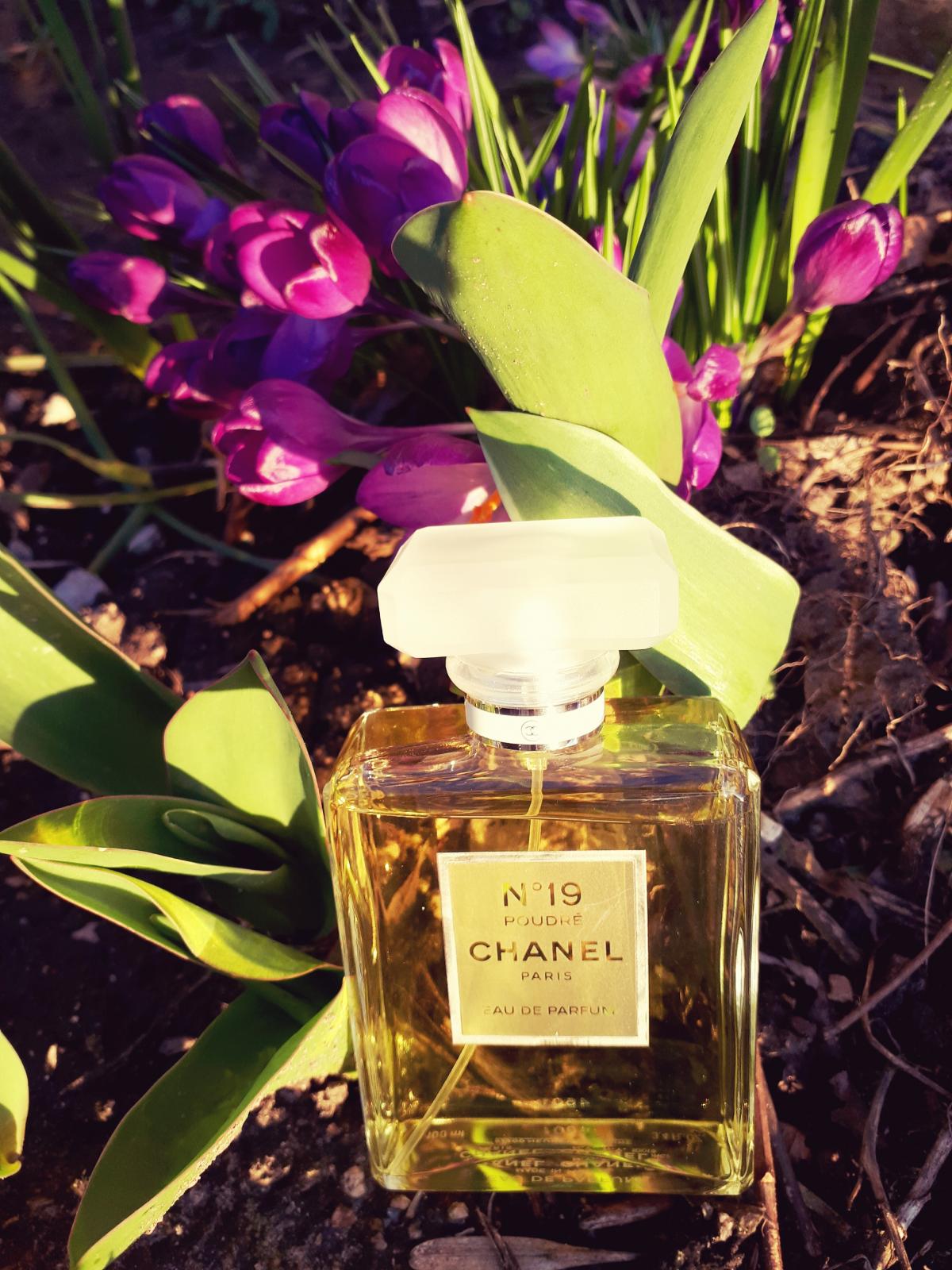 Chanel No 19 Poudre Chanel perfume - a fragrance for women 2011