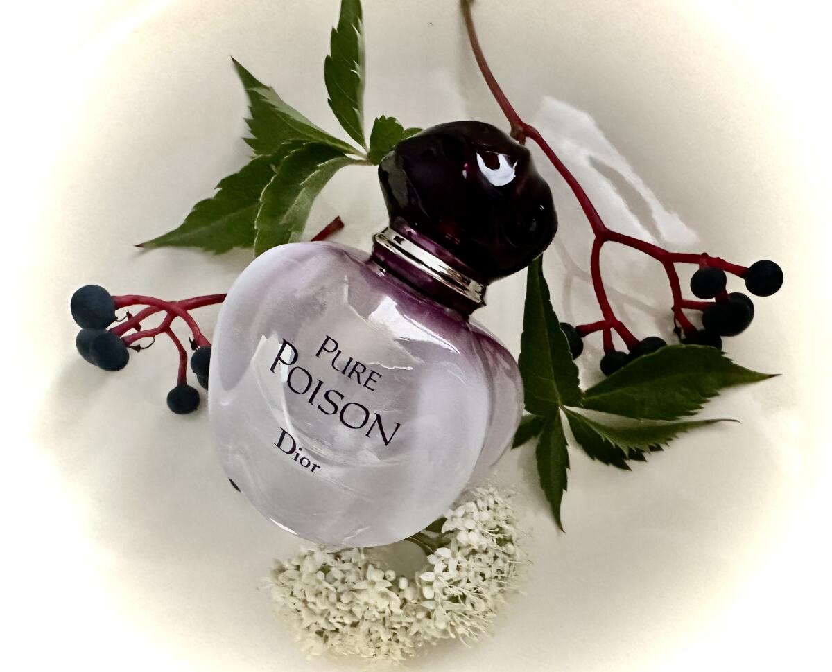 Pure Poison Dior perfume - a fragrance for women 2004