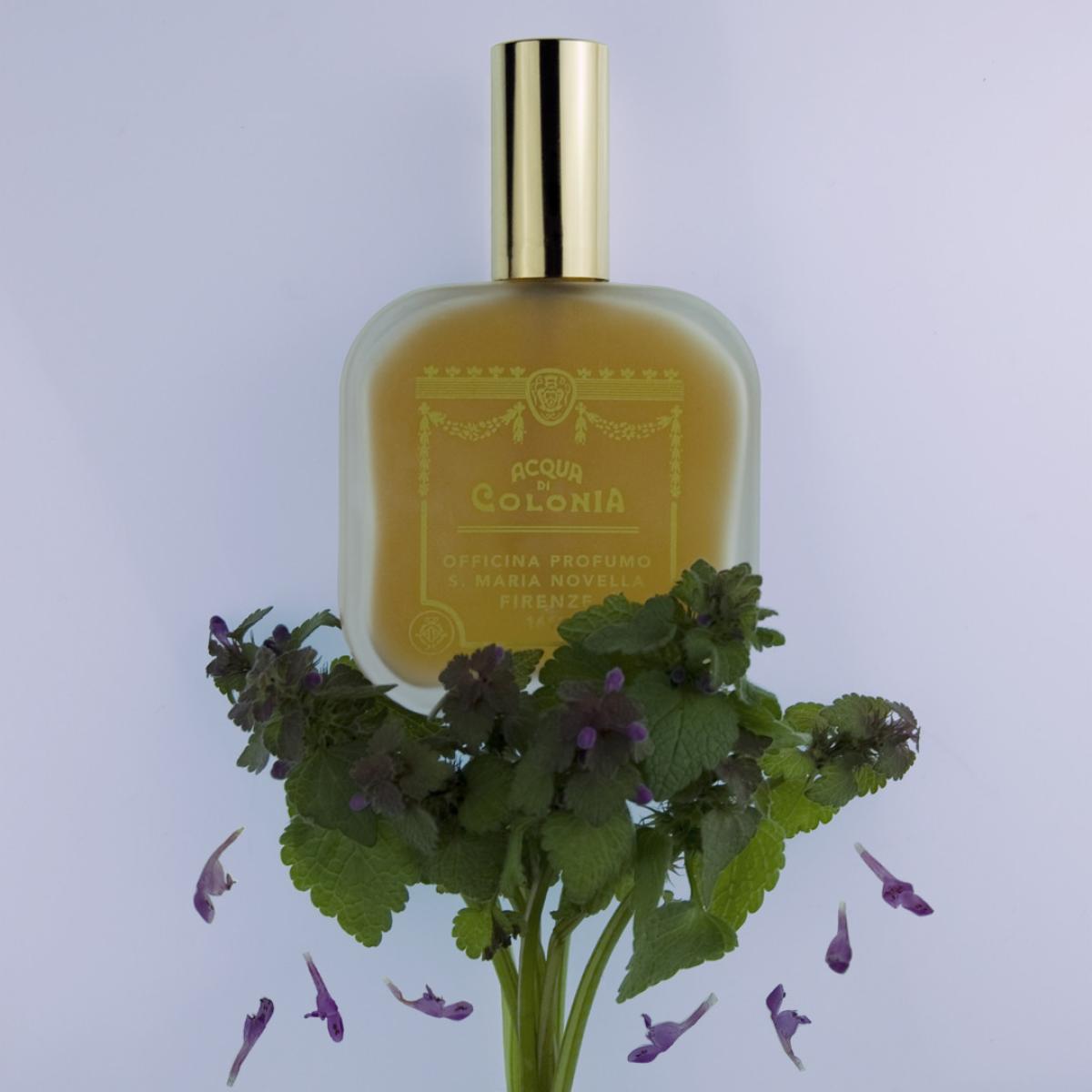 Patchouli Santa Maria Novella perfume - a fragrance for women and men