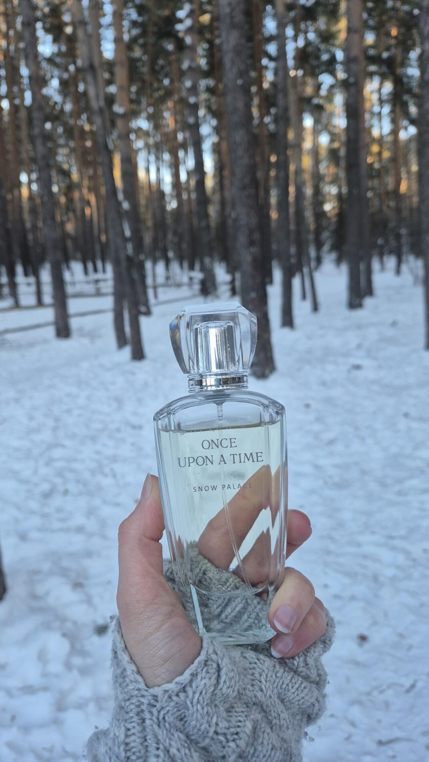 Snow Palace Brocard perfume - a fragrance for women 2023
