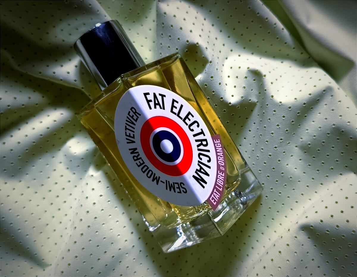 Fat Electrician Semi-Modern Vetiver Etat Libre d'Orange cologne - a ...