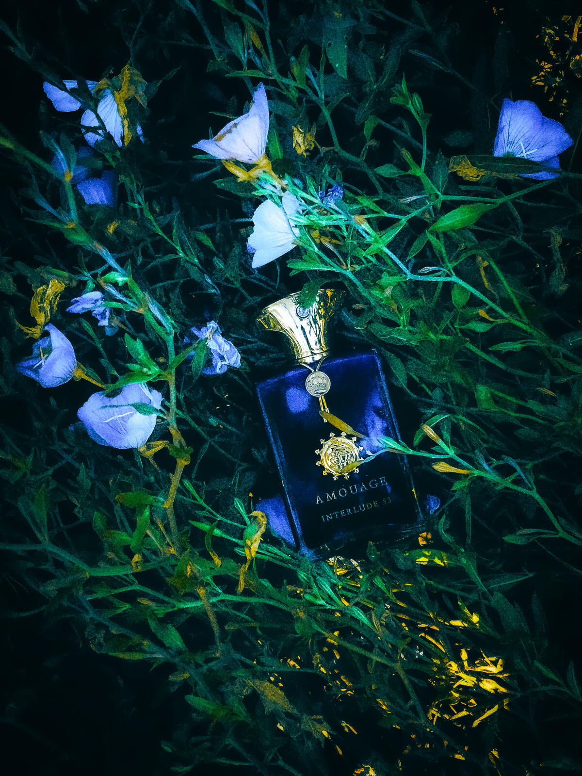 Interlude 53 Man Amouage cologne - a fragrance for men 2020