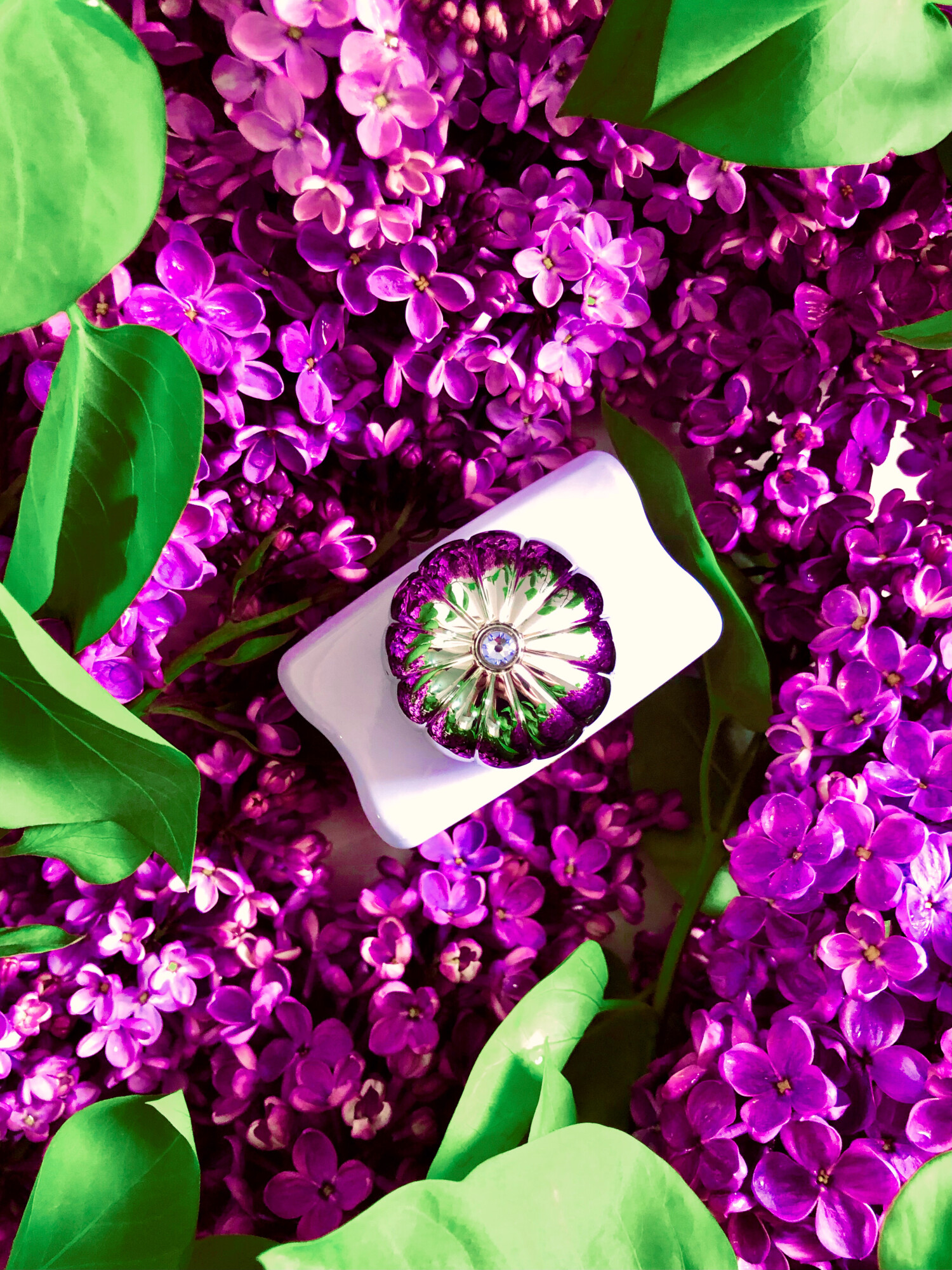 Lilac Love Amouage perfume - a fragrance for women 2016
