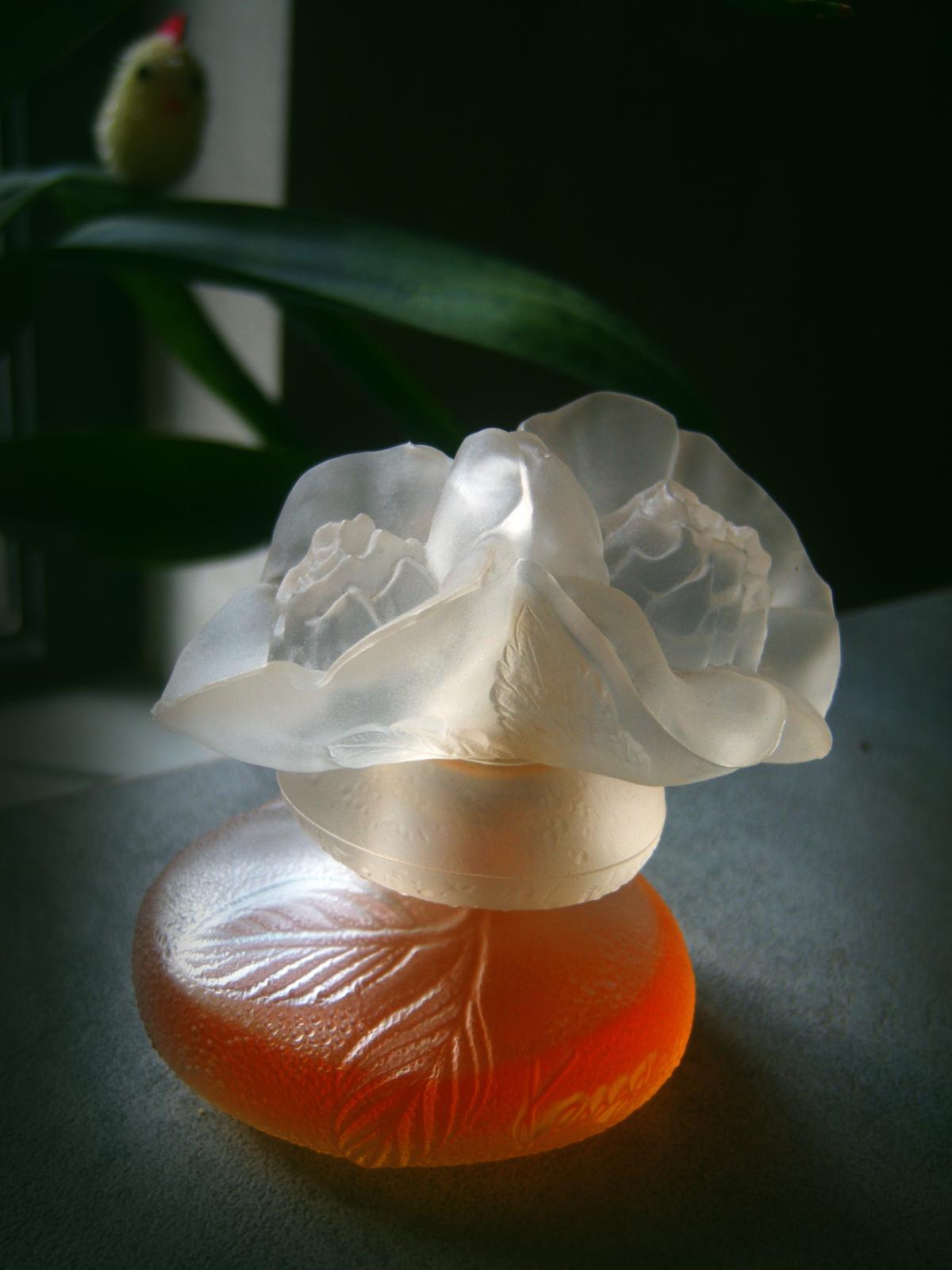 Kenzo Kenzo perfume - a fragrance for women 1988