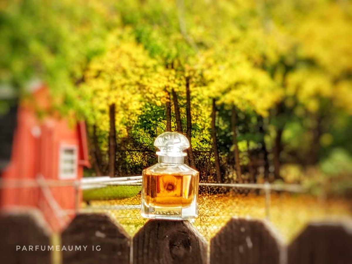 Mon Guerlain Eau de Toilette Guerlain perfume - a fragrance for women 2018