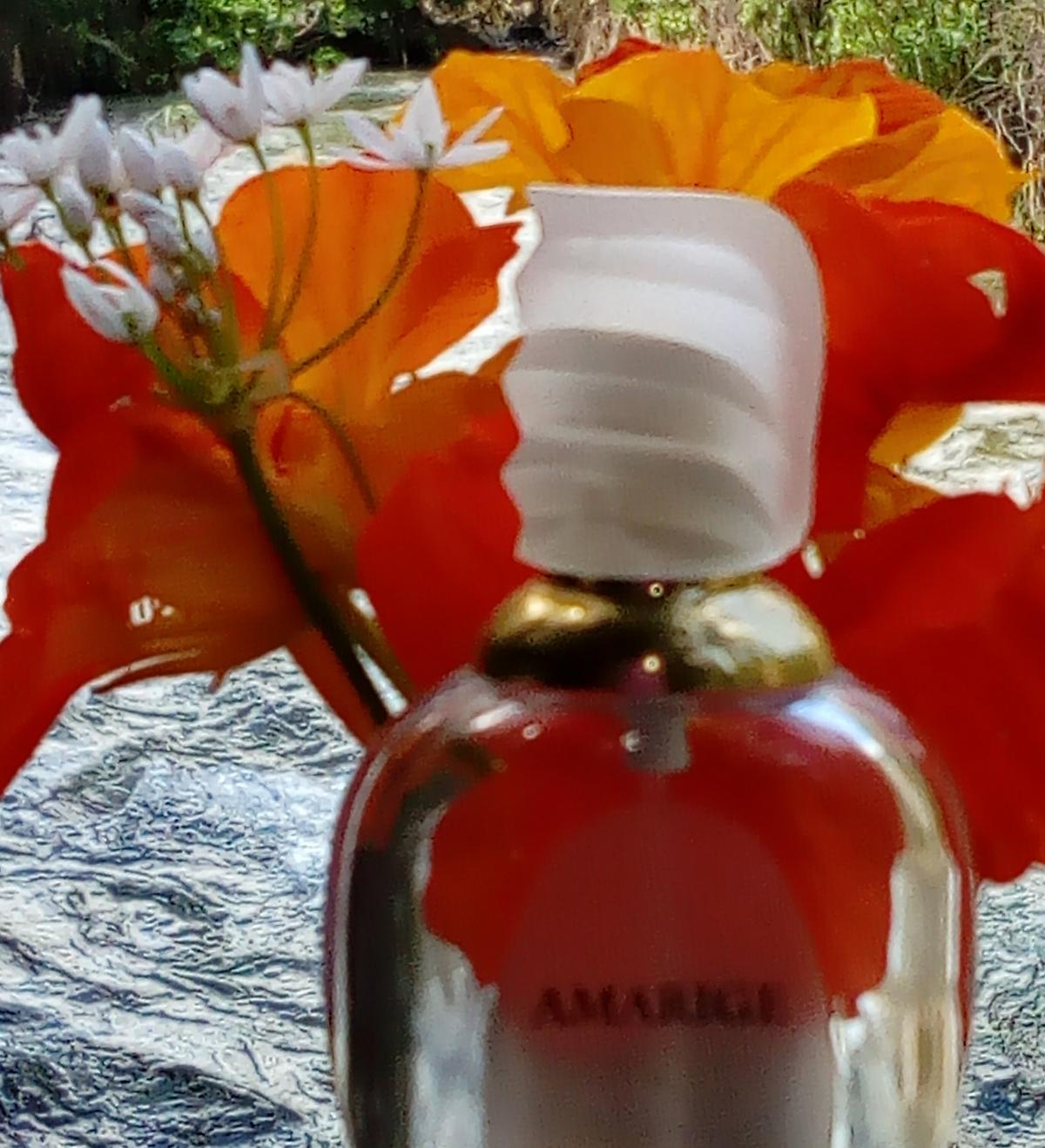 Amarige Givenchy perfume - a fragrance for women 1991