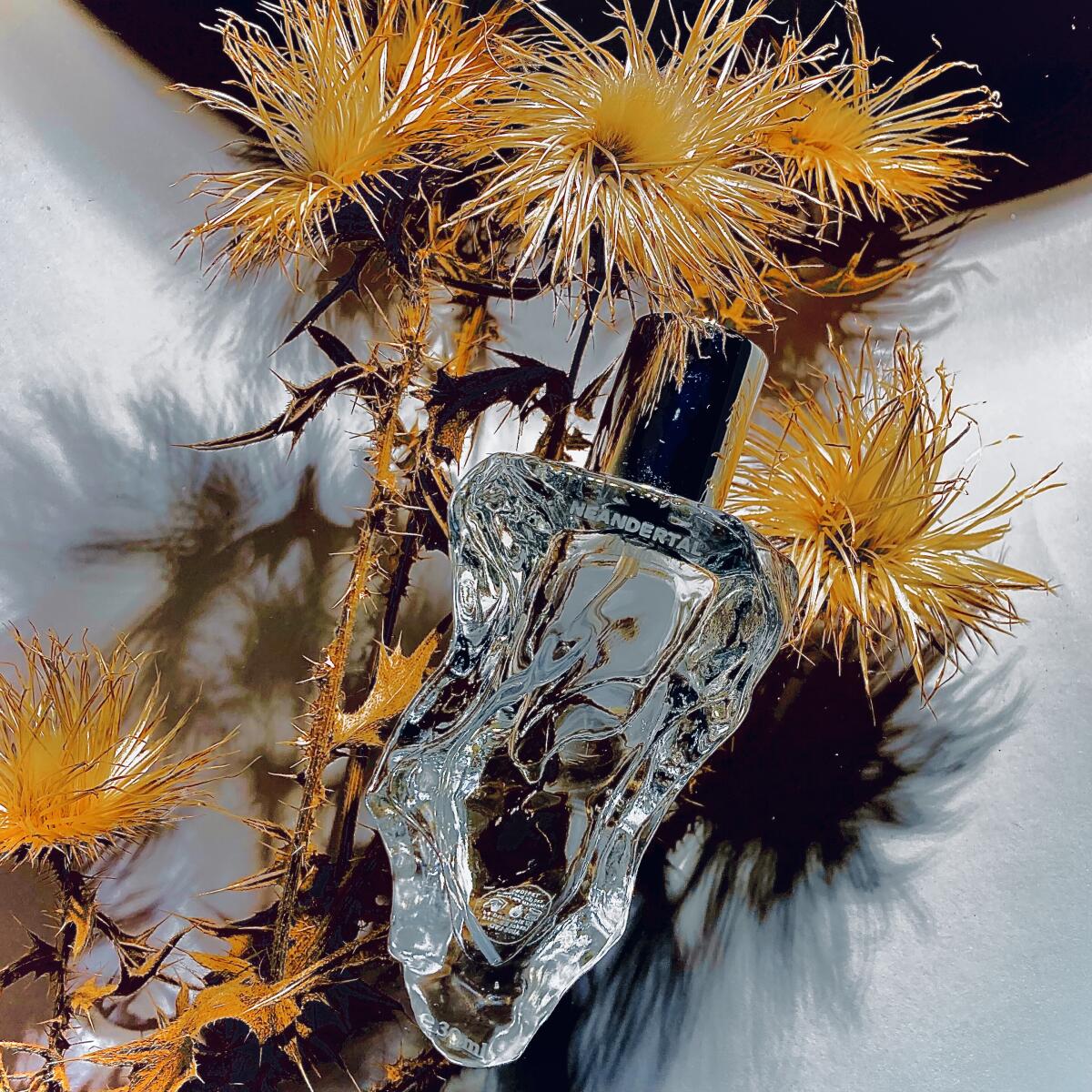 Neandertal Them Neandertal perfume - a fragrance for women and men 2020