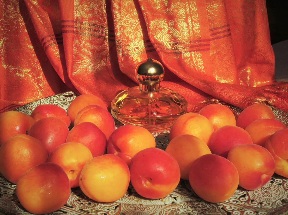 Casmir Chopard perfume - a fragrance for women 1992