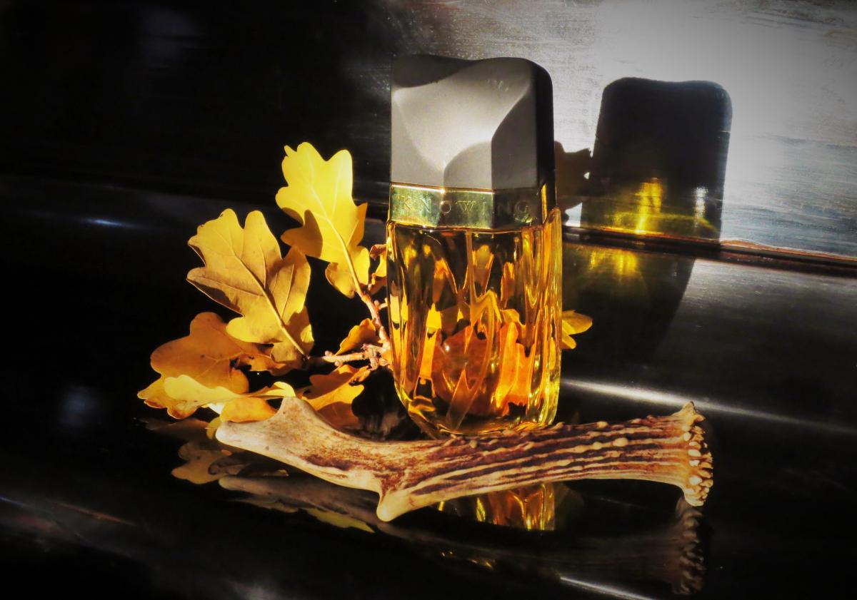 Knowing Estée Lauder perfume - a fragrance for women 1988