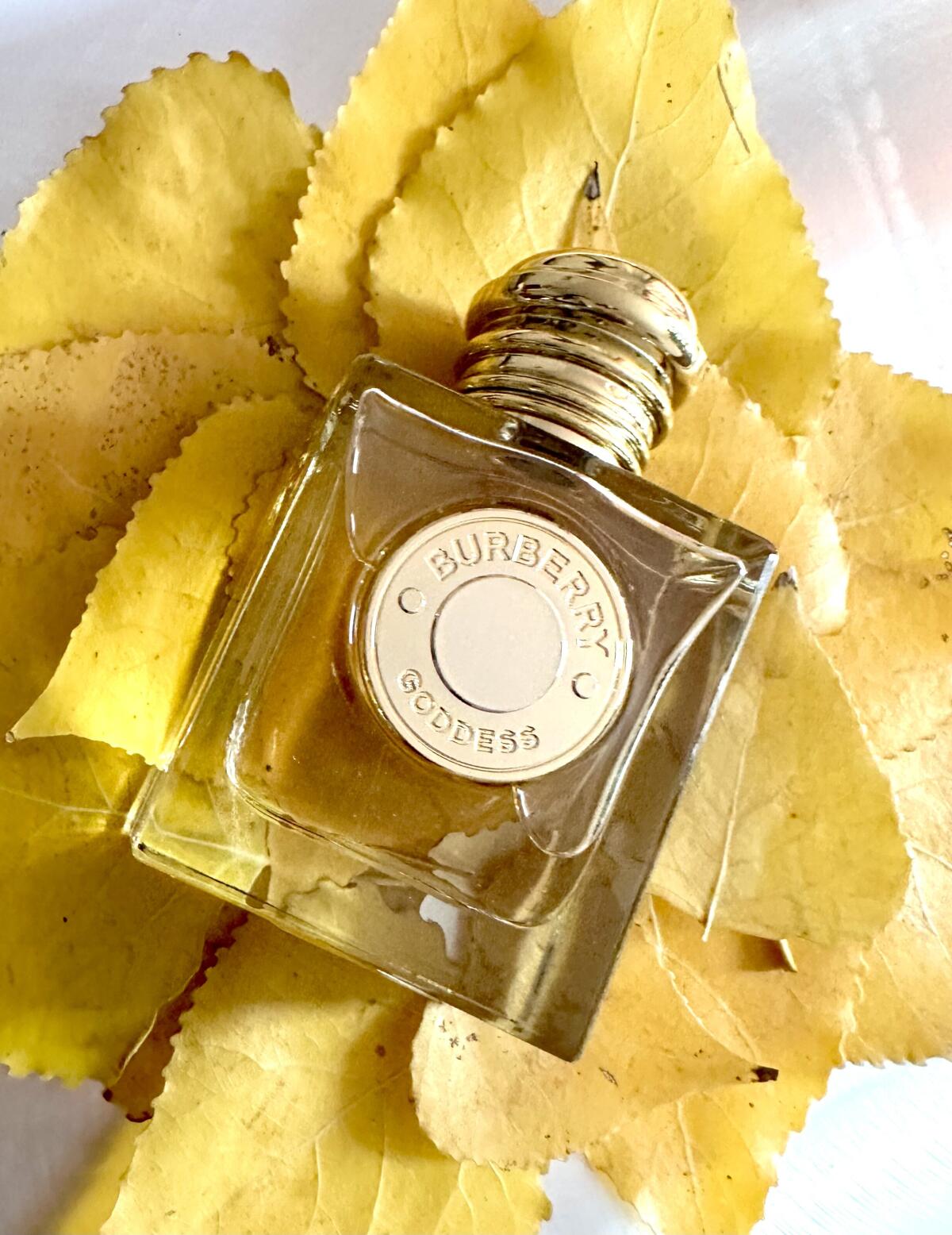 Goddess Burberry perfumy - to nowe perfumy dla kobiet 2023