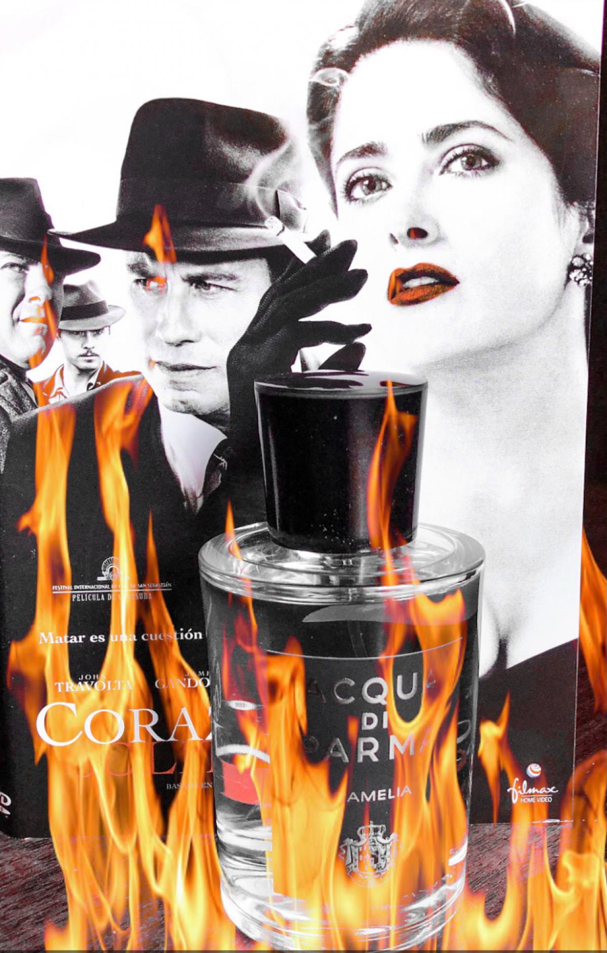 Camelia Eau de Parfum Acqua di Parma perfume - a new fragrance for ...