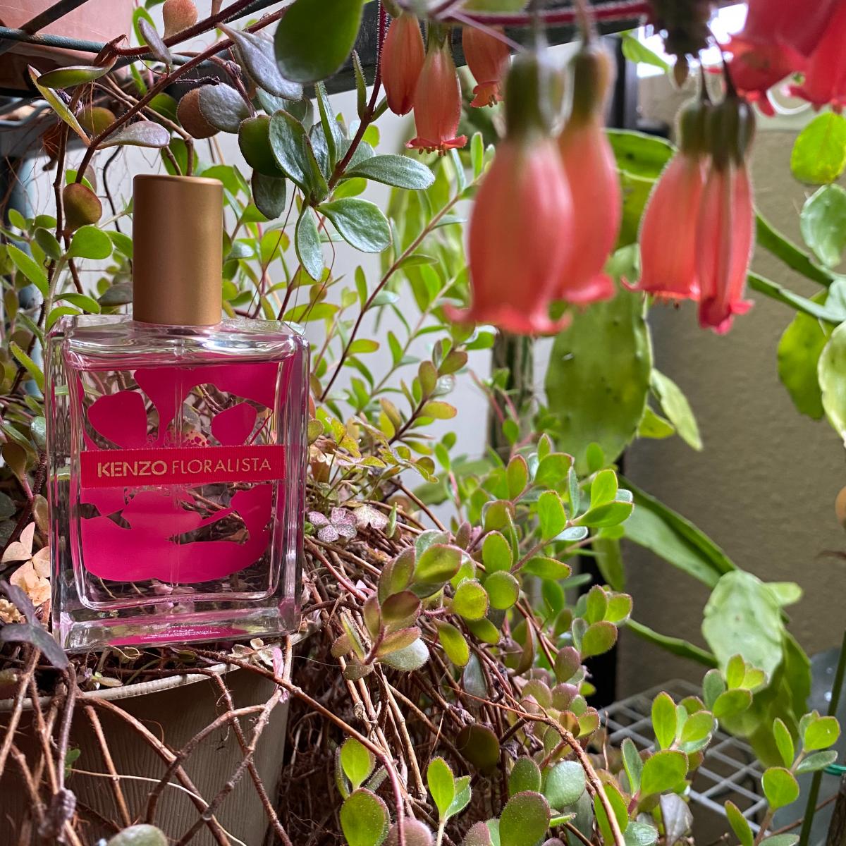 Floralista Kenzo perfume - a fragrance for women 2014
