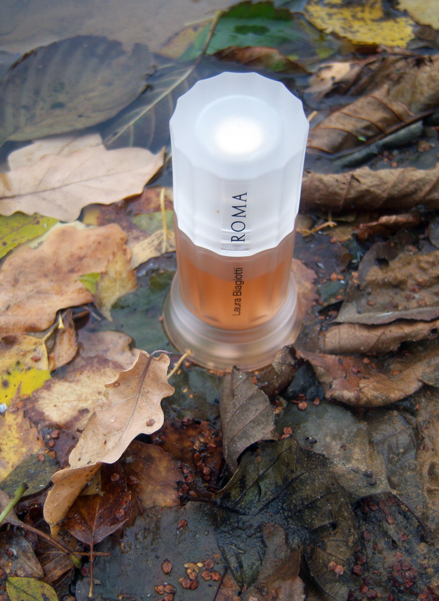 Roma Laura Biagiotti perfume - a fragrance for women 1988