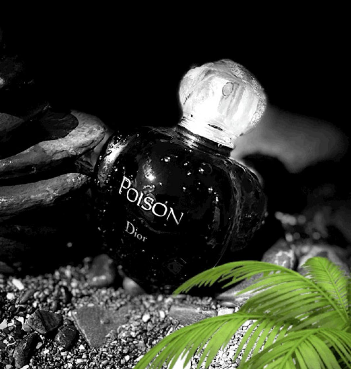 Poison Dior perfume - a fragrância Feminino 1985