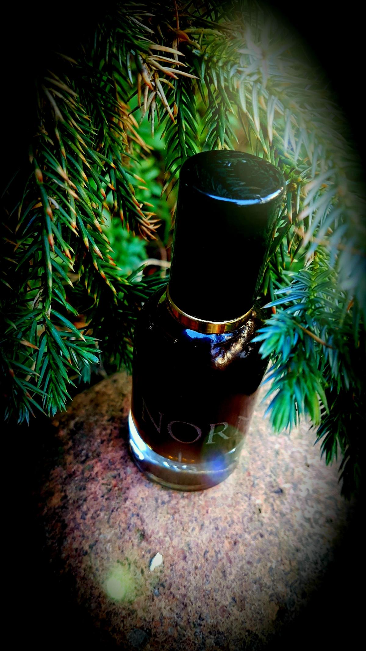 Norne Slumberhouse perfume - a fragrance for women and men 2012