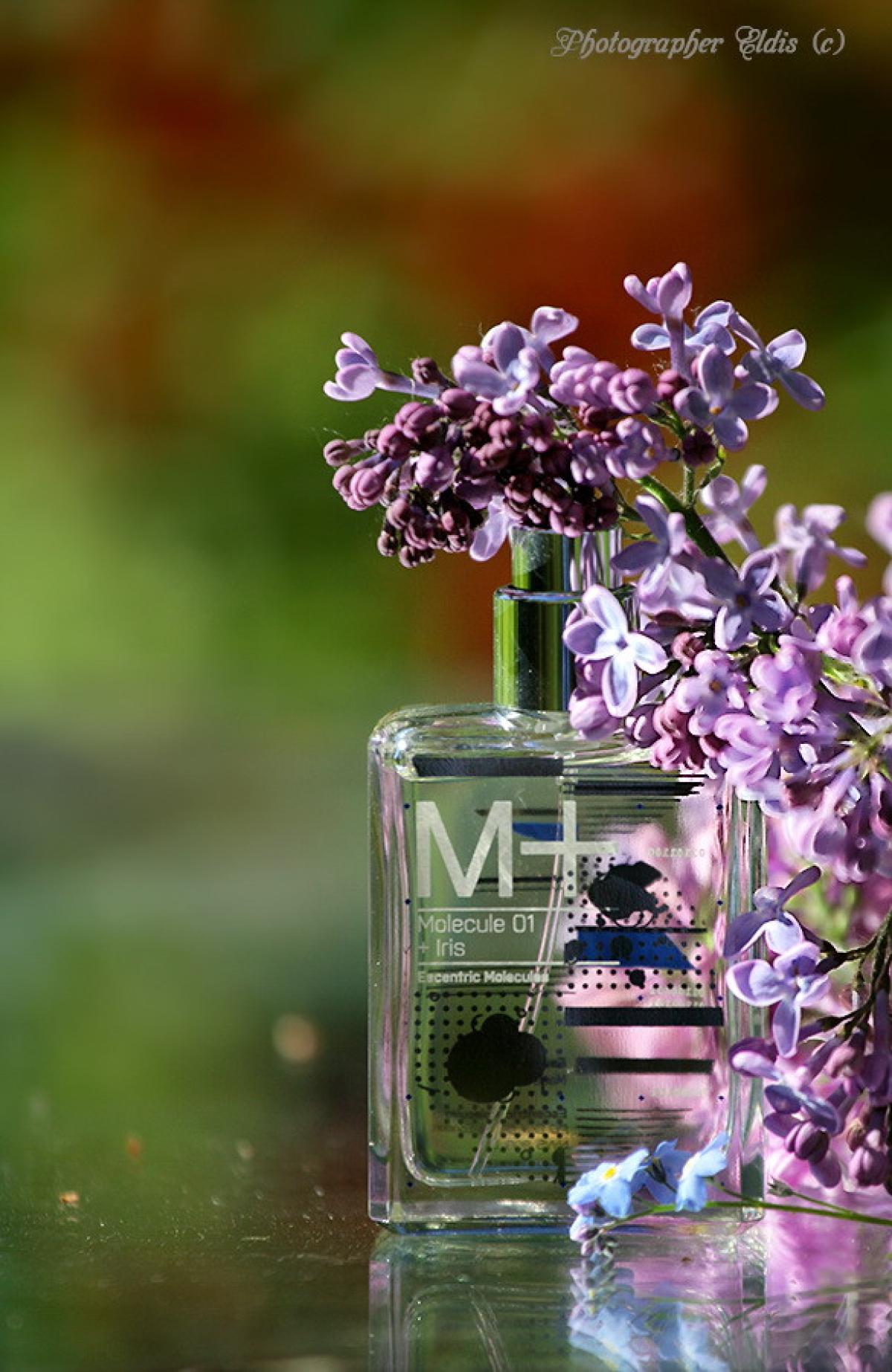 Molecule 01 + Iris Escentric Molecules perfume - a fragrance for women ...