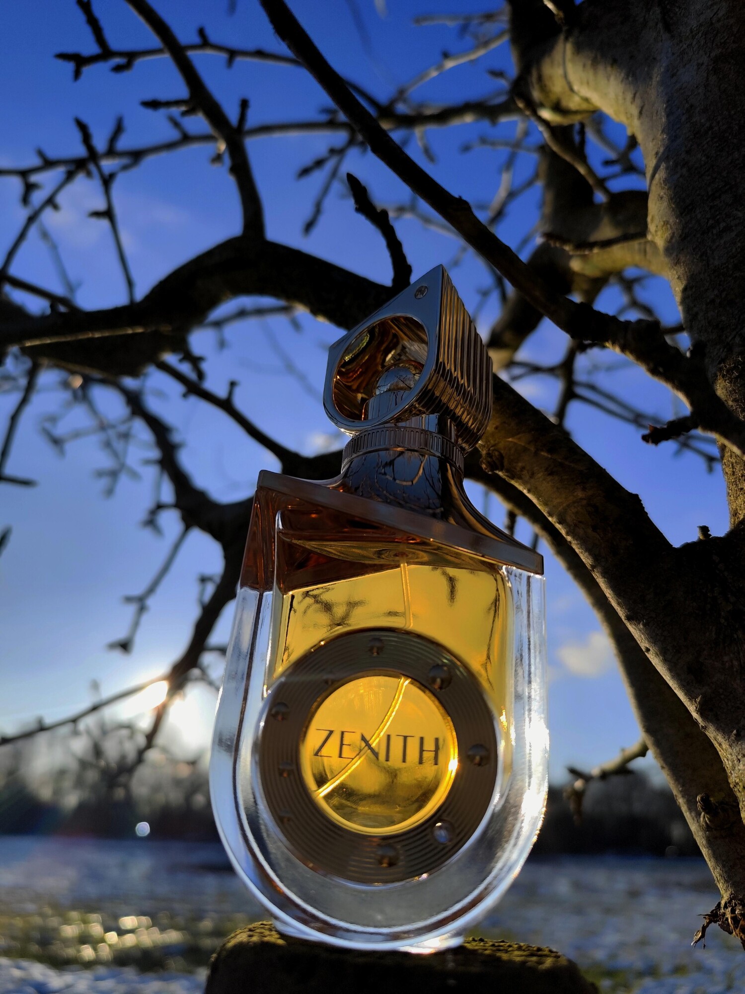 Zenith Riiffs Perfumes perfume - a new fragrance for women and men 2025