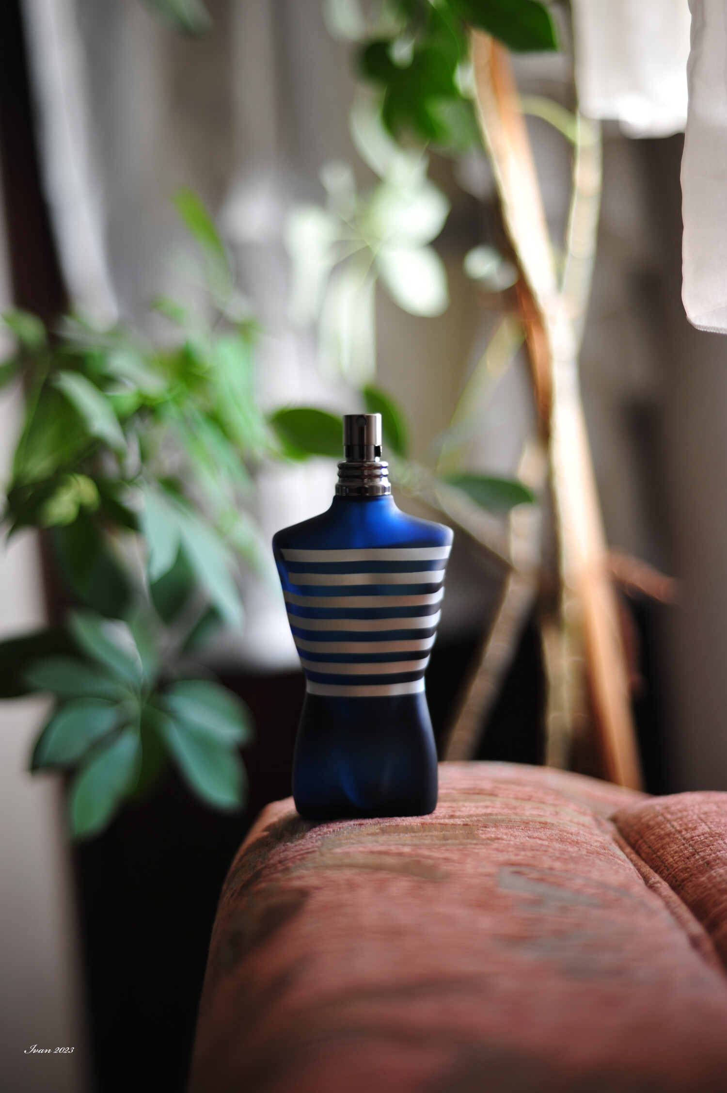 Le Male In The Navy Jean Paul Gaultier cologne - a fragrance for men 2018