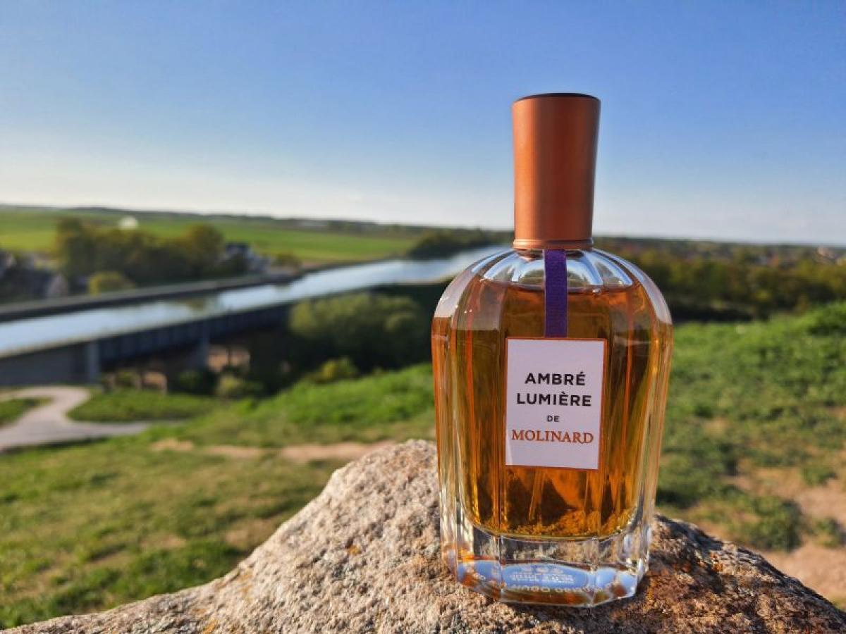 Ambre Lumiere Molinard perfume - a fragrance for women and men 2014