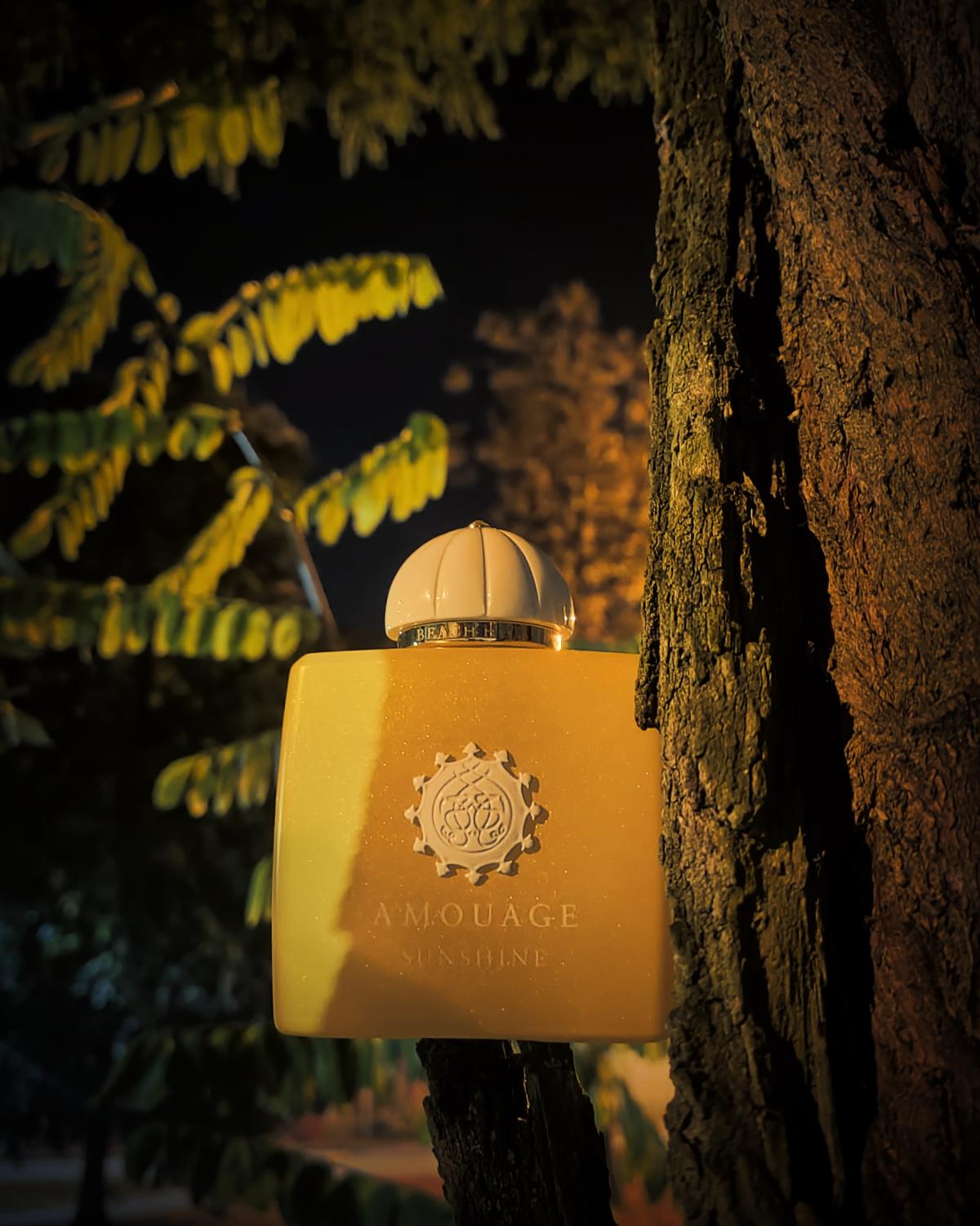 Sunshine Woman Amouage perfume - a fragrance for women 2014