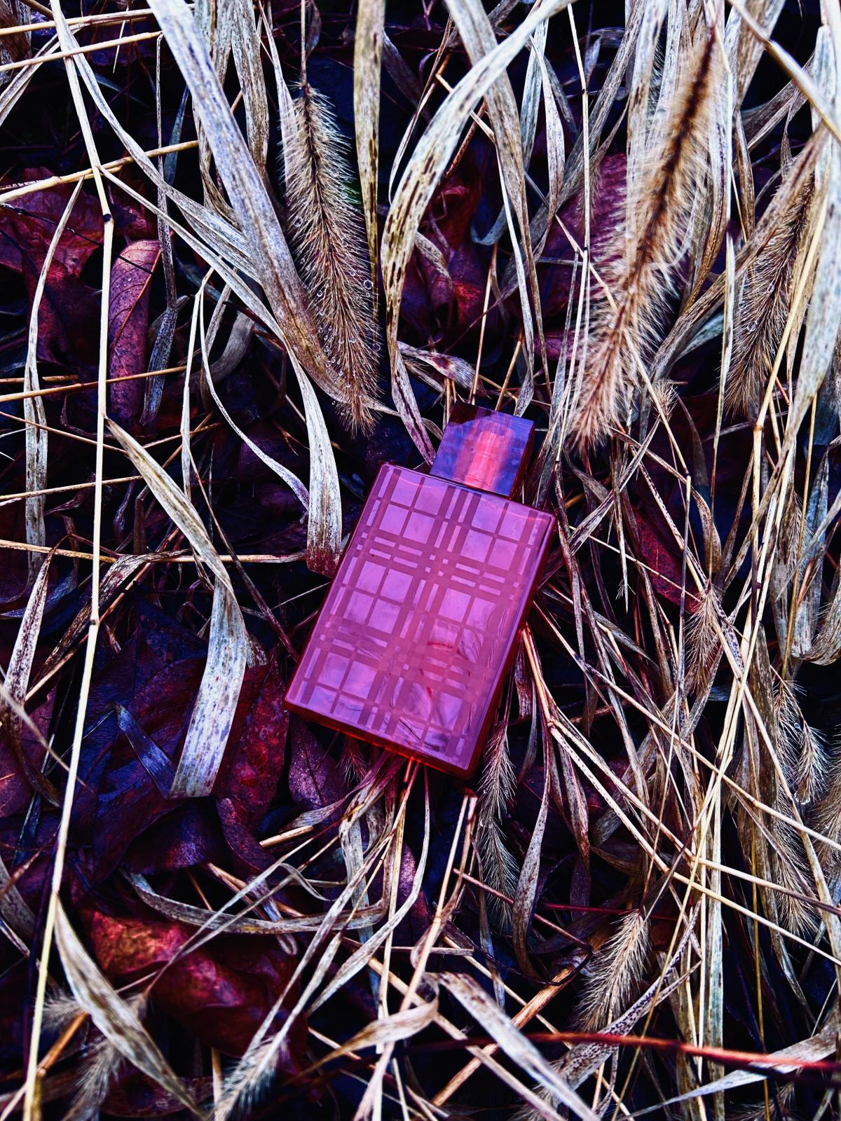 Burberry Brit Red Burberry perfume - a fragrance for women 2004