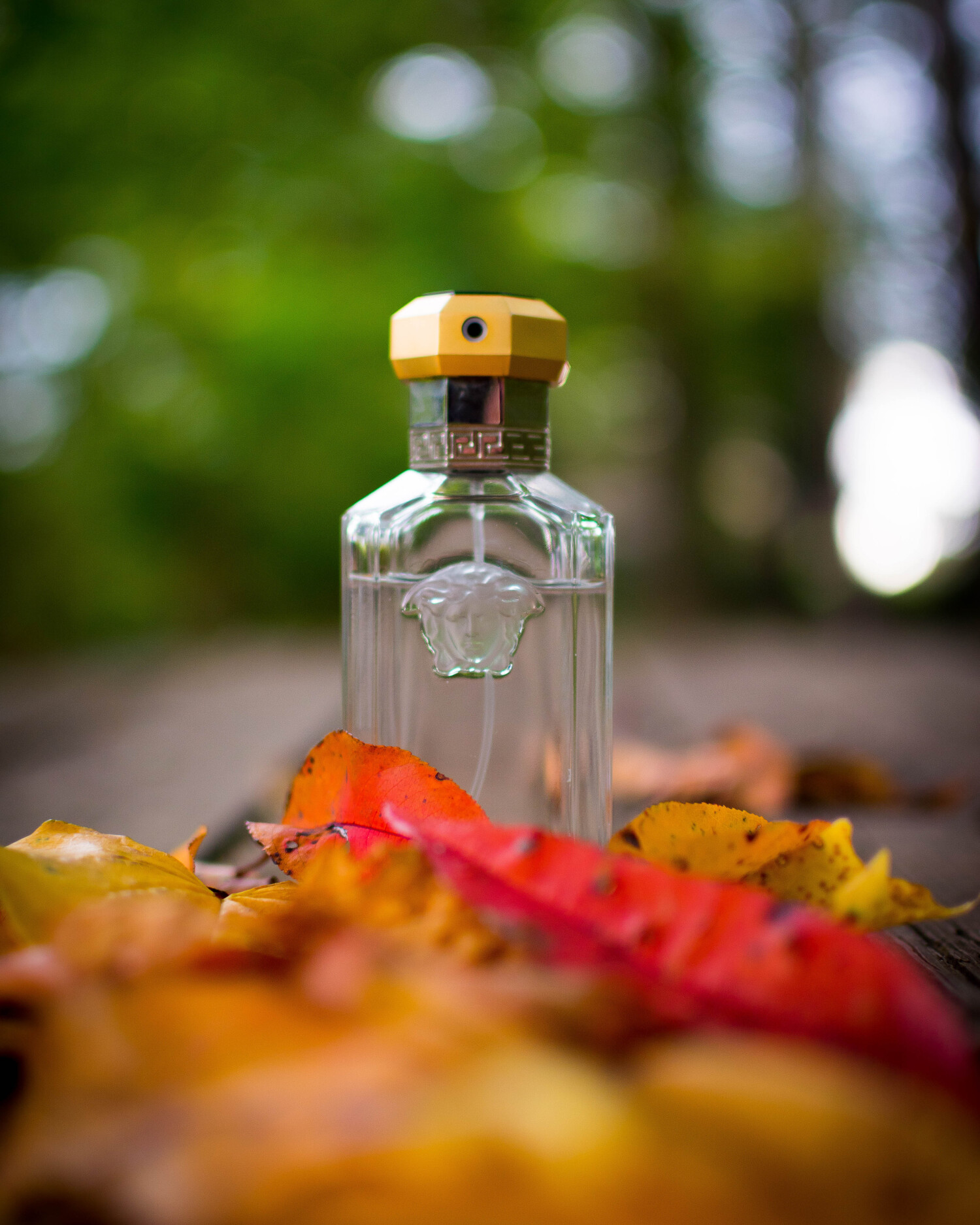 The Dreamer Versace cologne - a fragrance for men