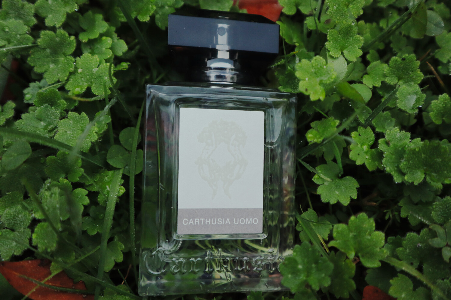 Carthusia Uomo Carthusia cologne - a fragrance for men 2004