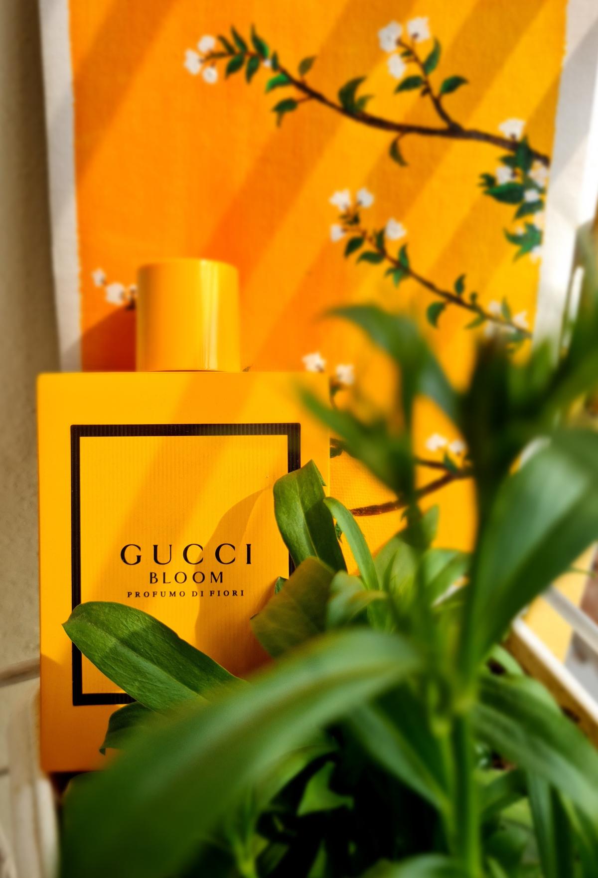 Gucci Bloom Profumo Di Fiori Gucci perfume - a fragrância Feminino 2020