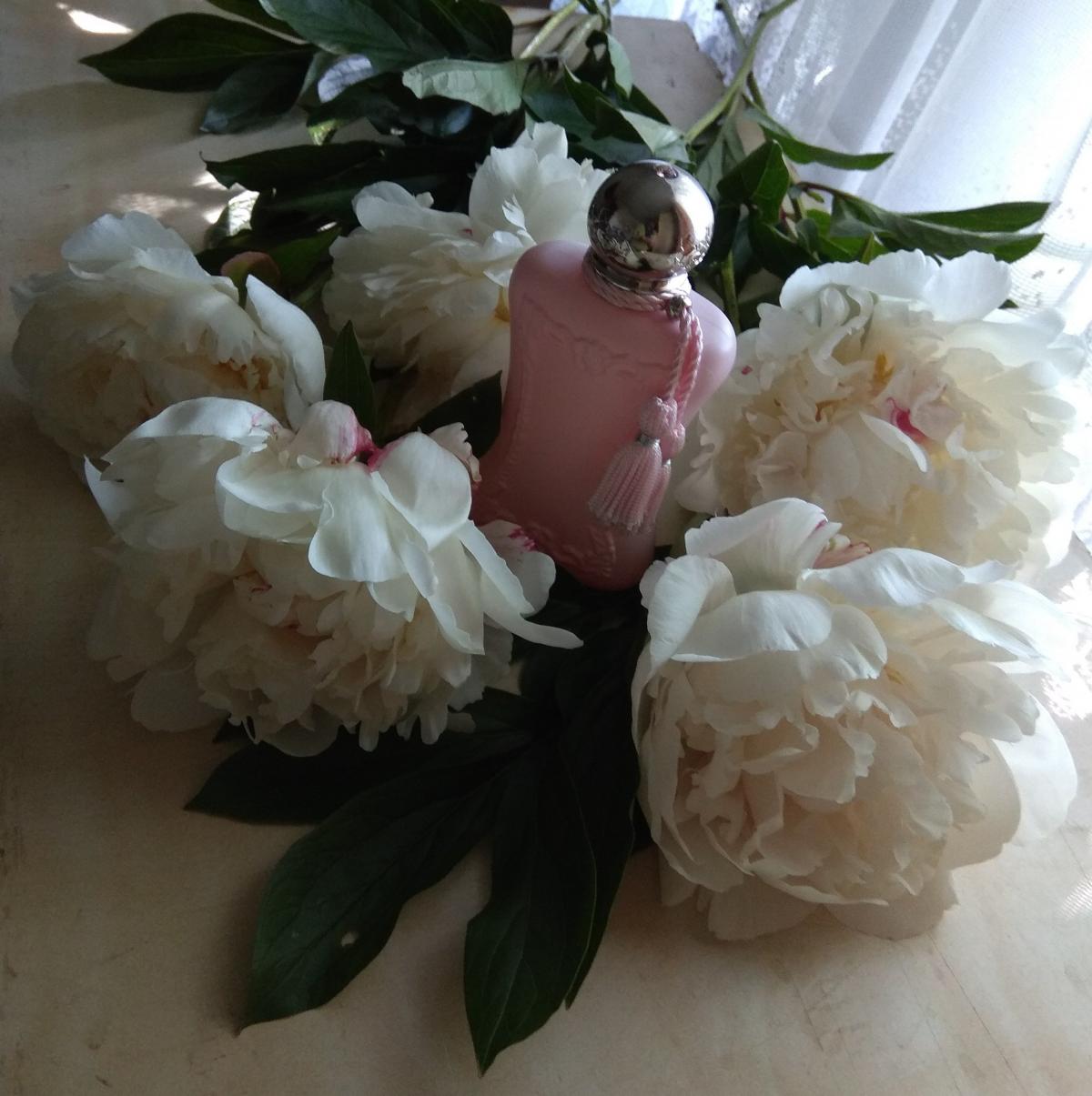 Delina Parfums de Marly fragancia - una fragancia para Mujeres 2017