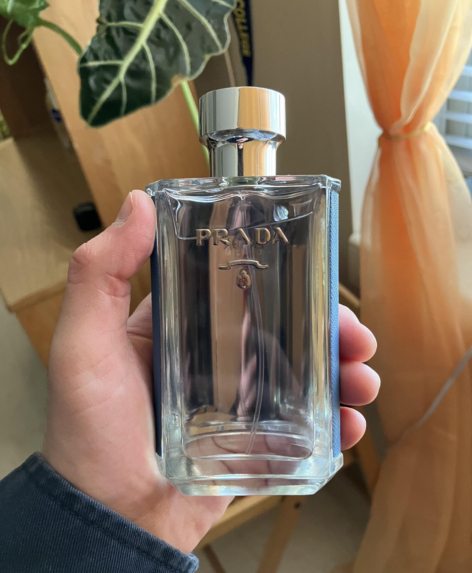 Prada L'Homme L'Eau Prada cologne - a fragrance for men 2017